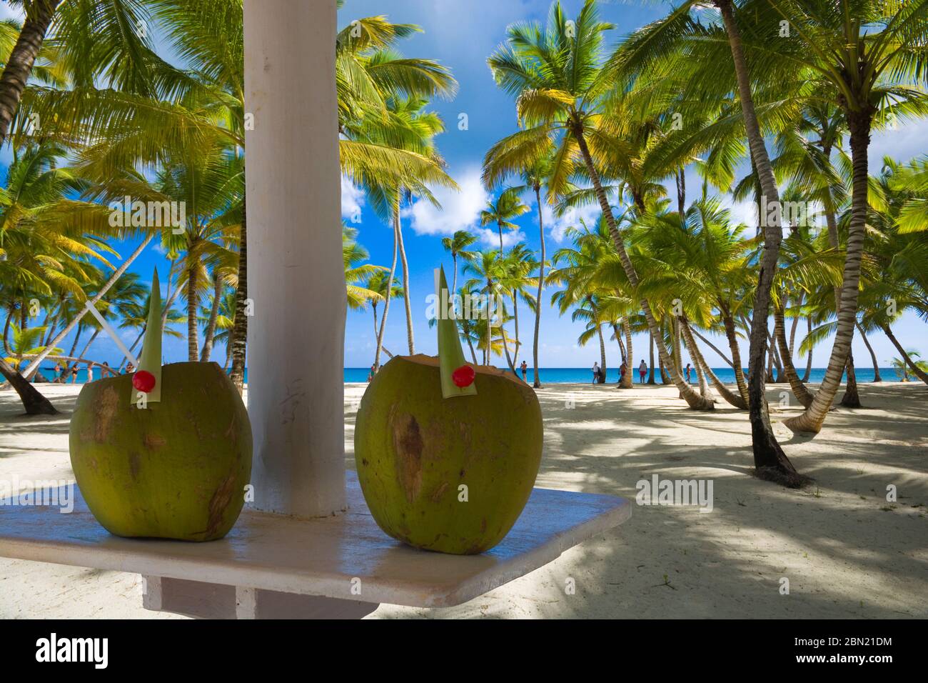 Coconut drinks on table under palm tree leaves umbrella on tropical ...