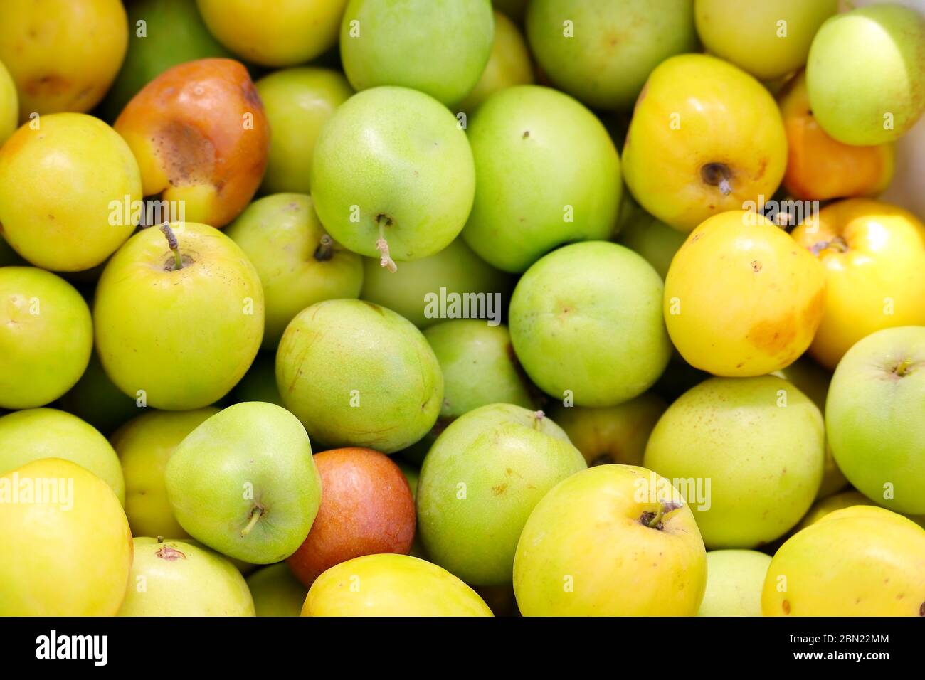 Jujube fruits hi-res stock photography and images - Alamy
