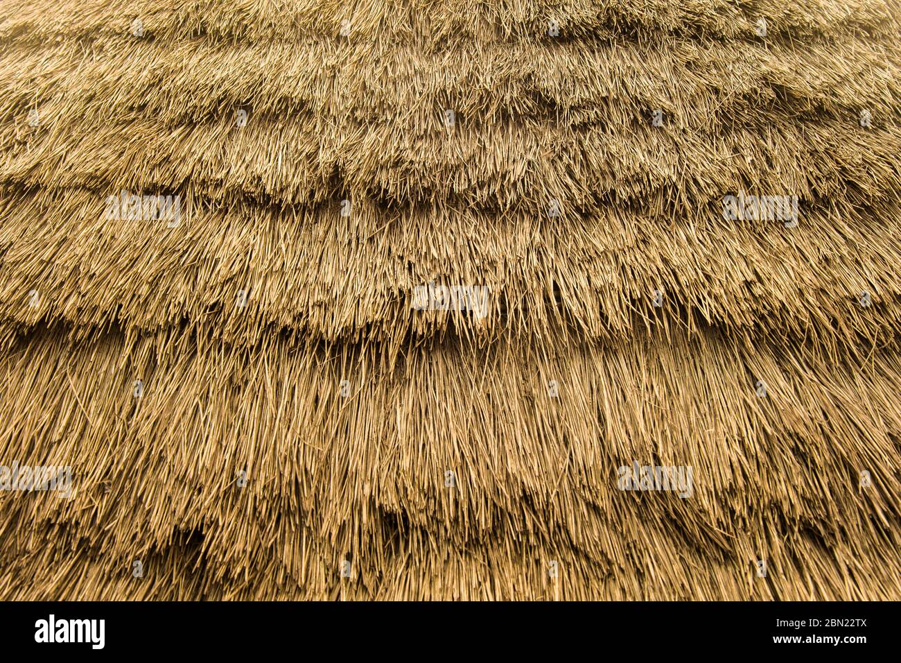Closeup of backdrop with thatched roof detail Stock Photo - Alamy