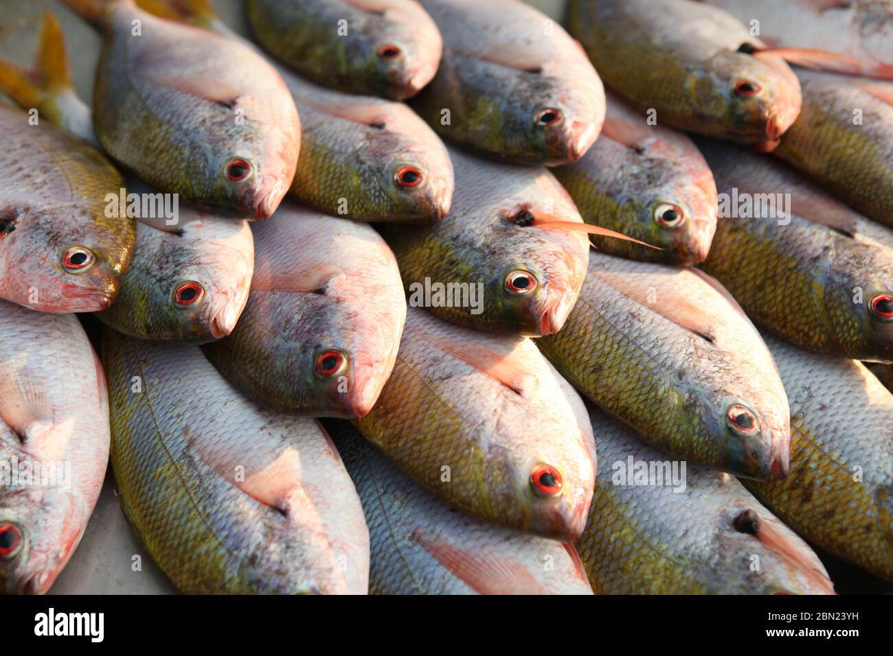 Fish on display at food market, Thailand Stock Photo - Alamy