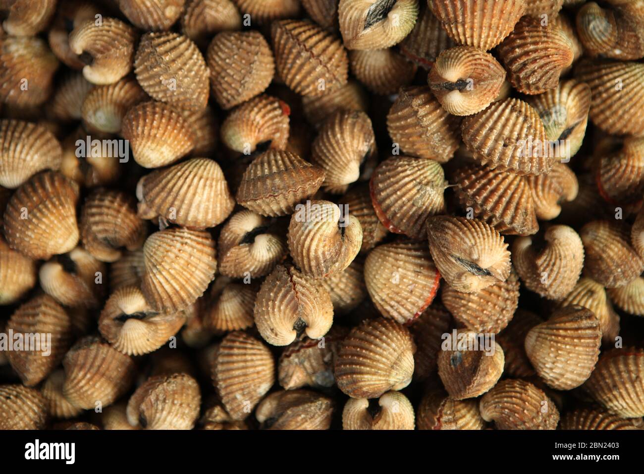 Food market thailand hi-res stock photography and images - Alamy