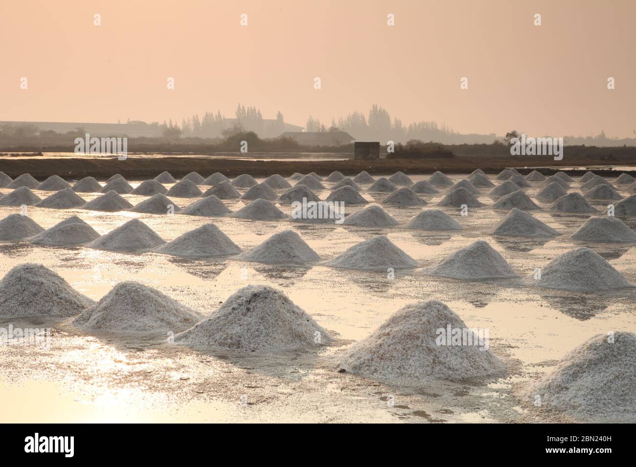 Salt field, Thailand Stock Photo - Alamy