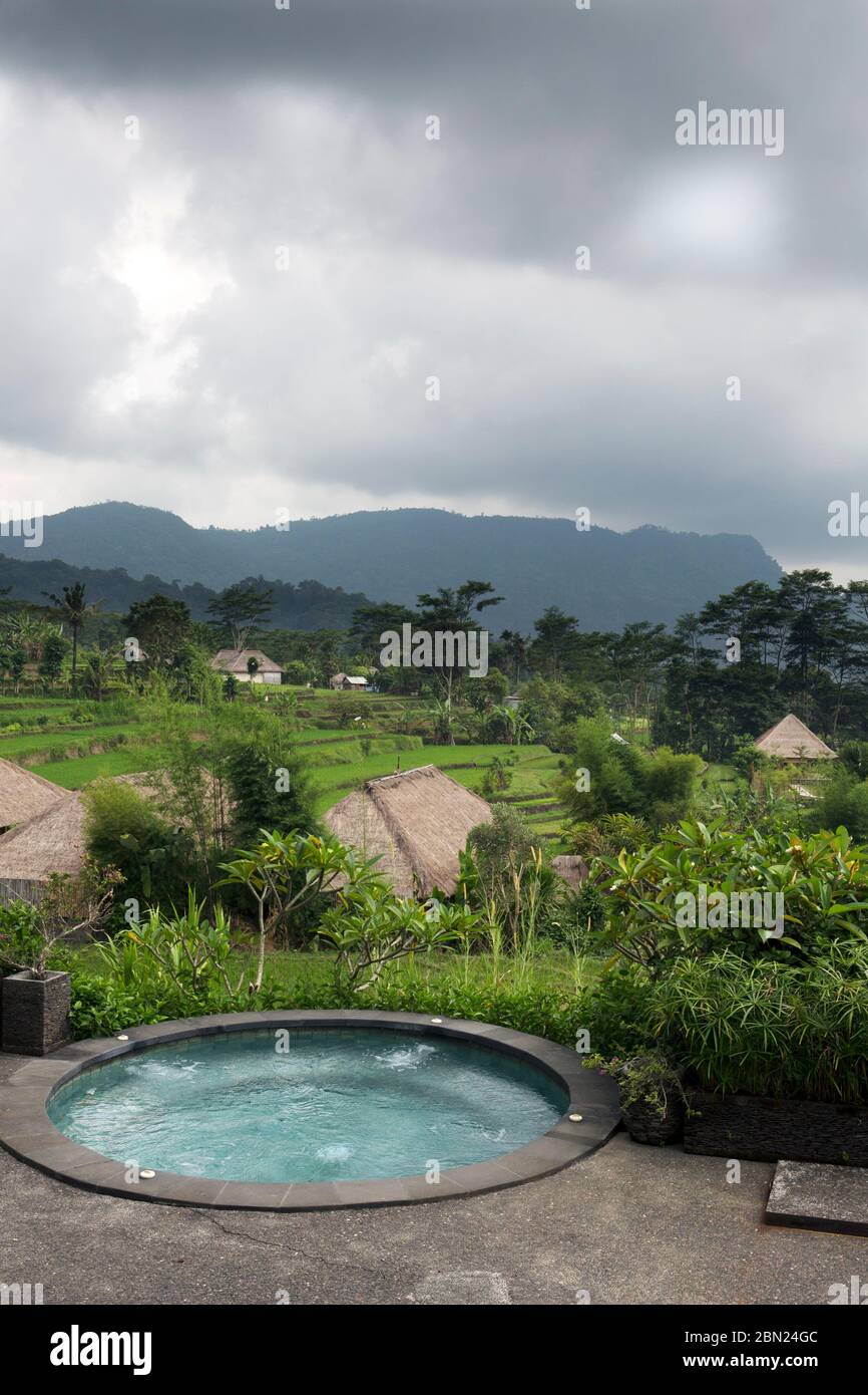 Mountains on the horizon, rice fields with huts and a small pool ...