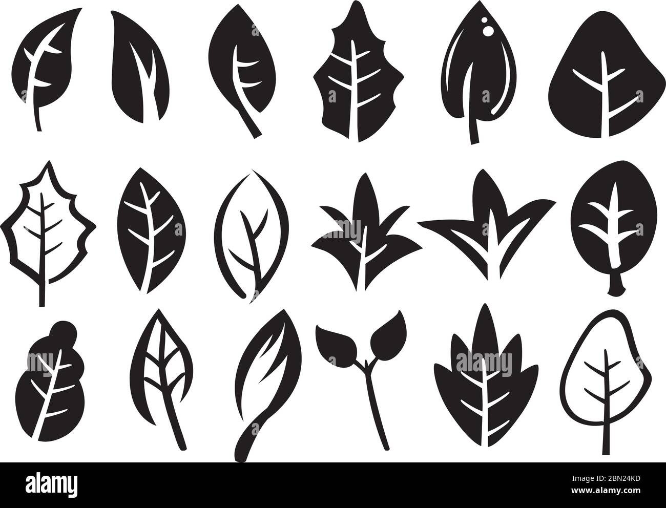 Vector icons of leaves in variety of shape designs isolated on white ...