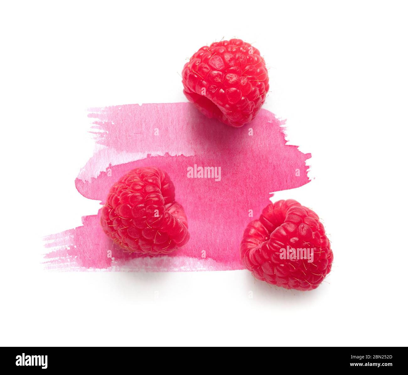 fresh raw raspberries on watercolor paint isolated on white background ...