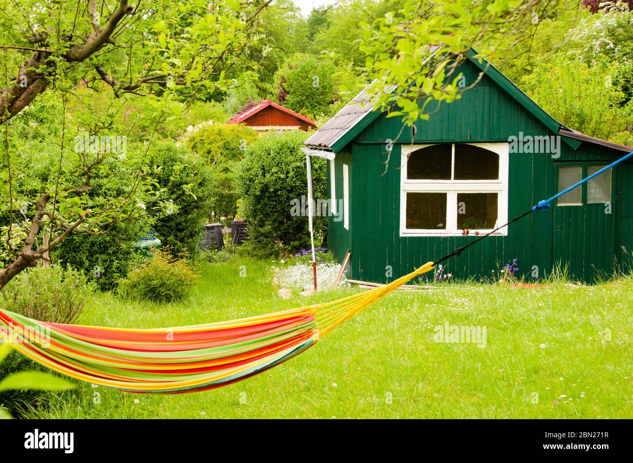 A light green small shed with white window frames, a gardenhouse in a ...