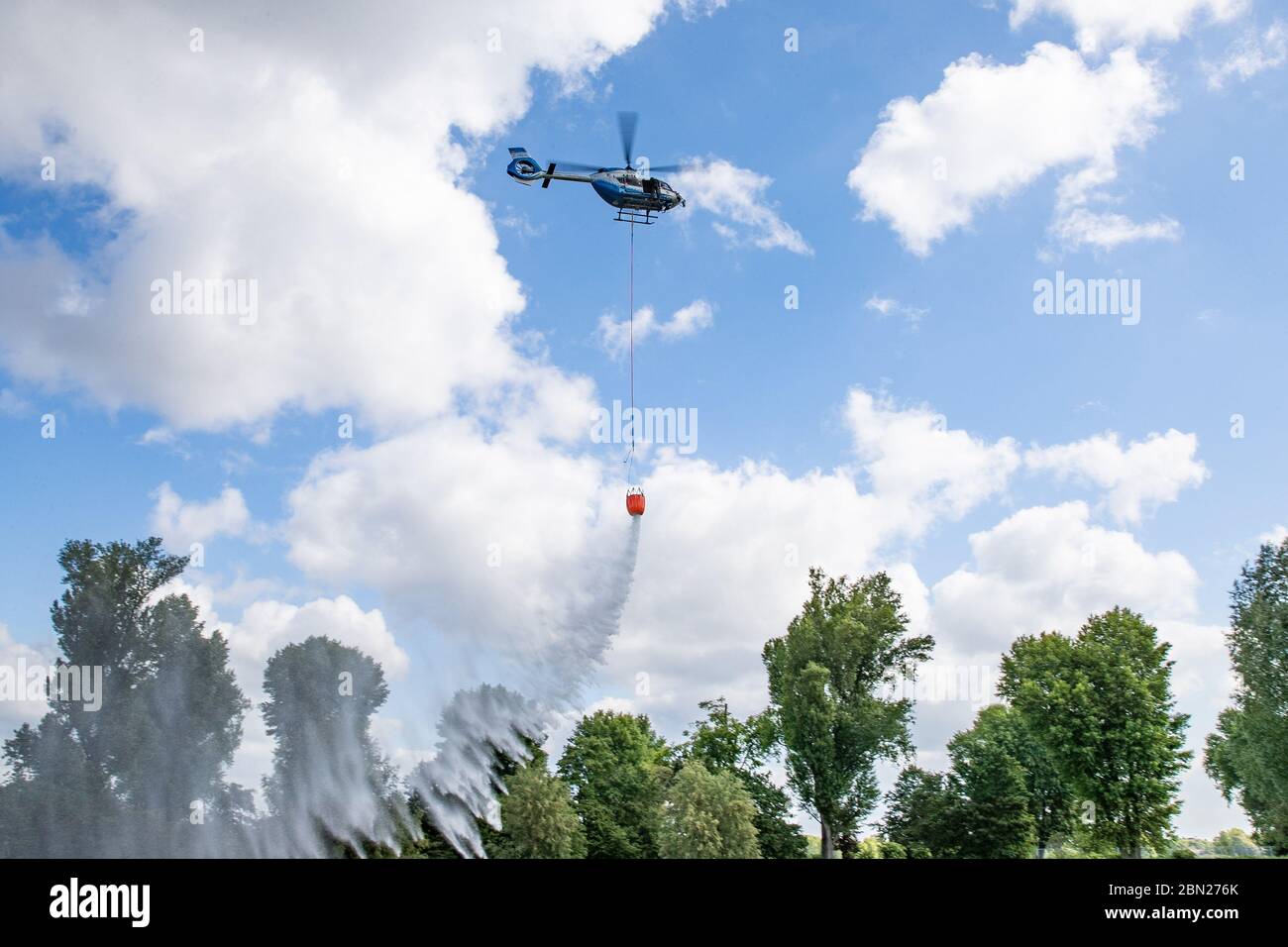 Bambi bucket 2020 hi-res stock photography and images - Alamy