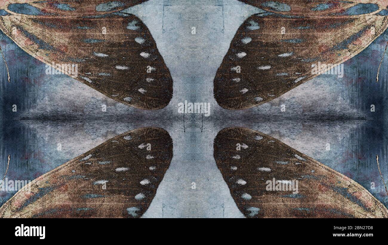 grunge Butterfly background texture Stock Photo - Alamy