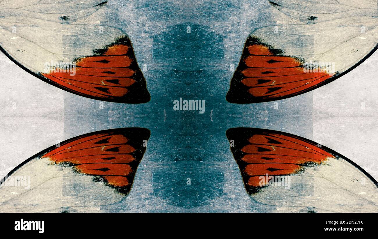 grunge Butterfly background texture Stock Photo - Alamy