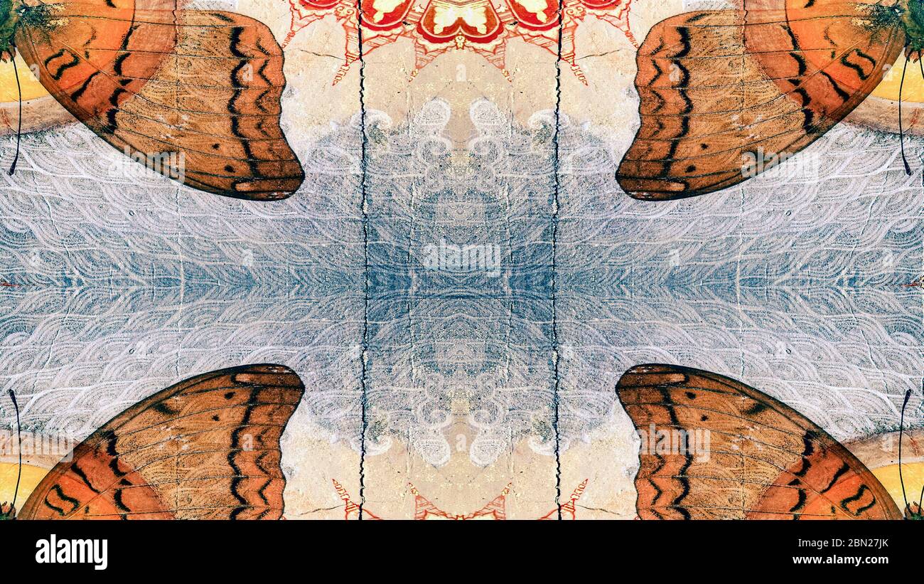 grunge Butterfly background texture Stock Photo - Alamy