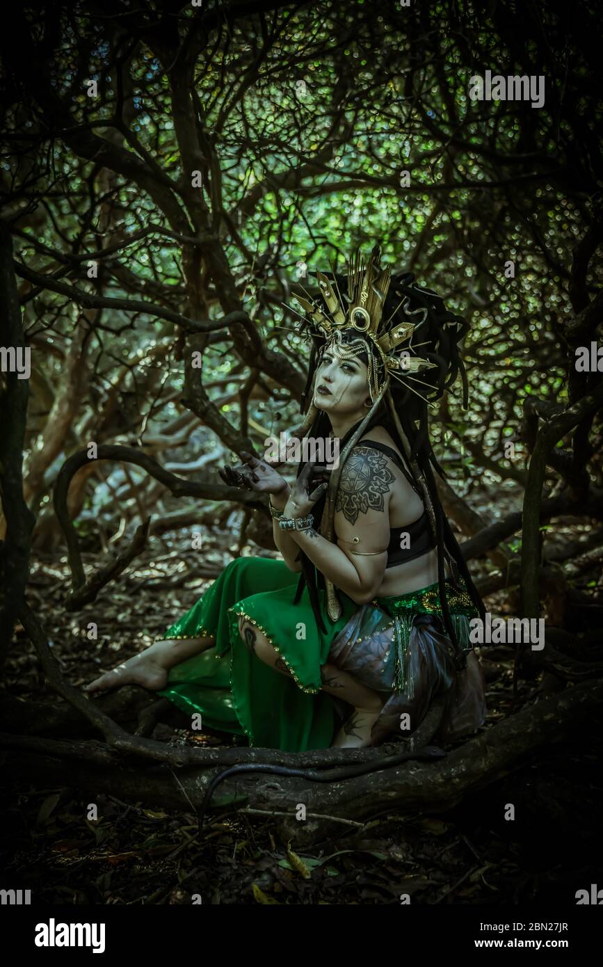 Images of medusa in her jungle lair. Dare you enter Stock Photo - Alamy