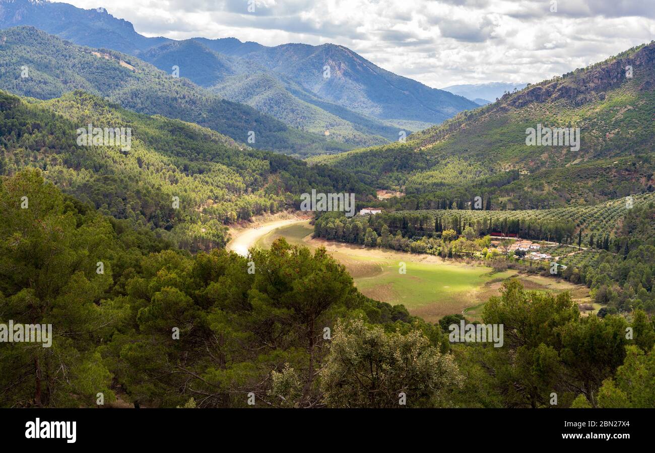 Mountain valley covered with pine trees Stock Photo - Alamy
