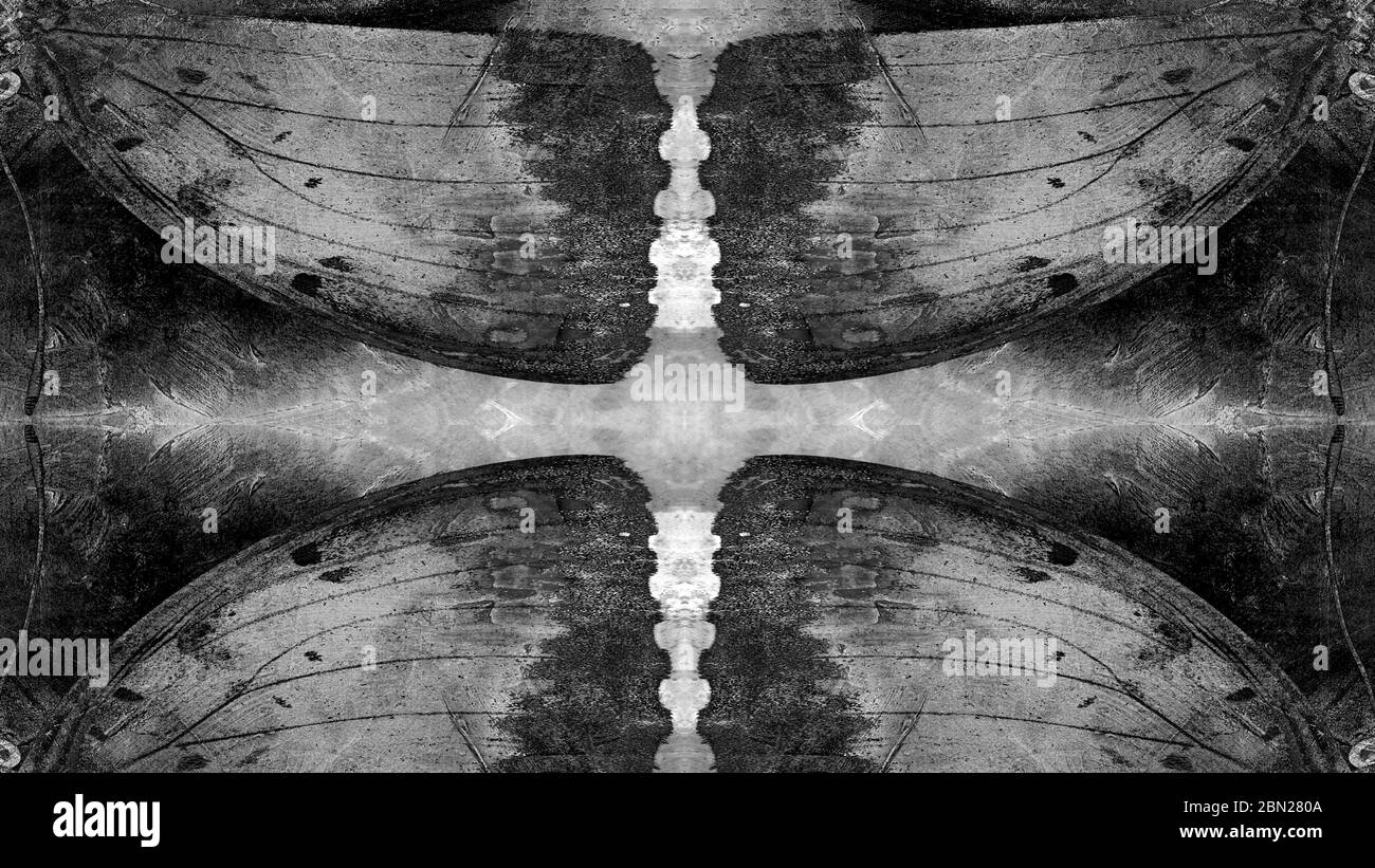 Butterfly texture wing Black and White Stock Photos & Images - Alamy