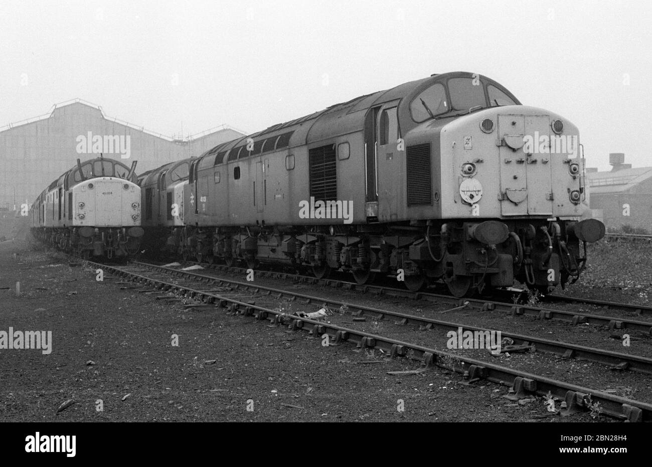 British rail diesel locomotive class Black and White Stock Photos ...
