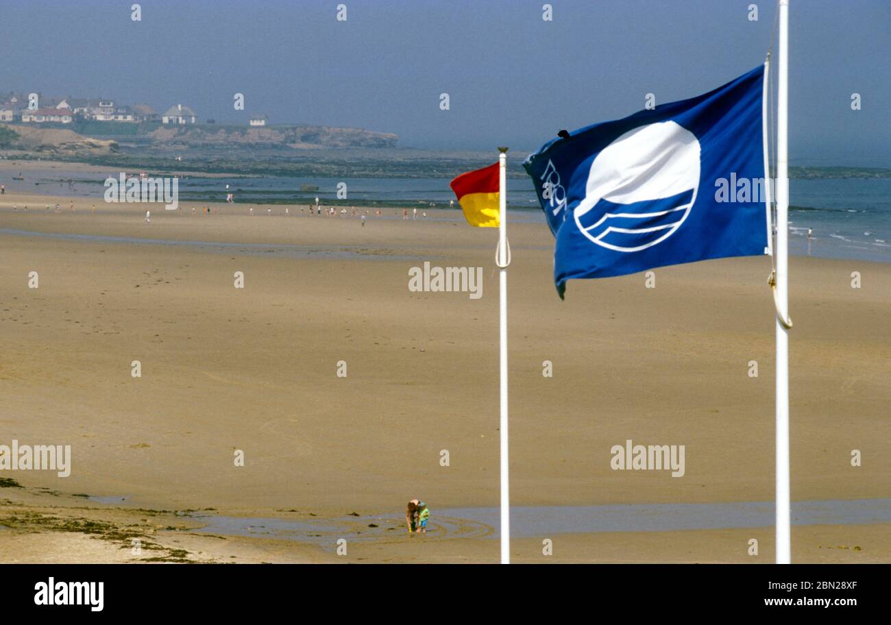 Clean beach with blue EC flag; Tynemouth Longsands; North Tyneside; NE ...