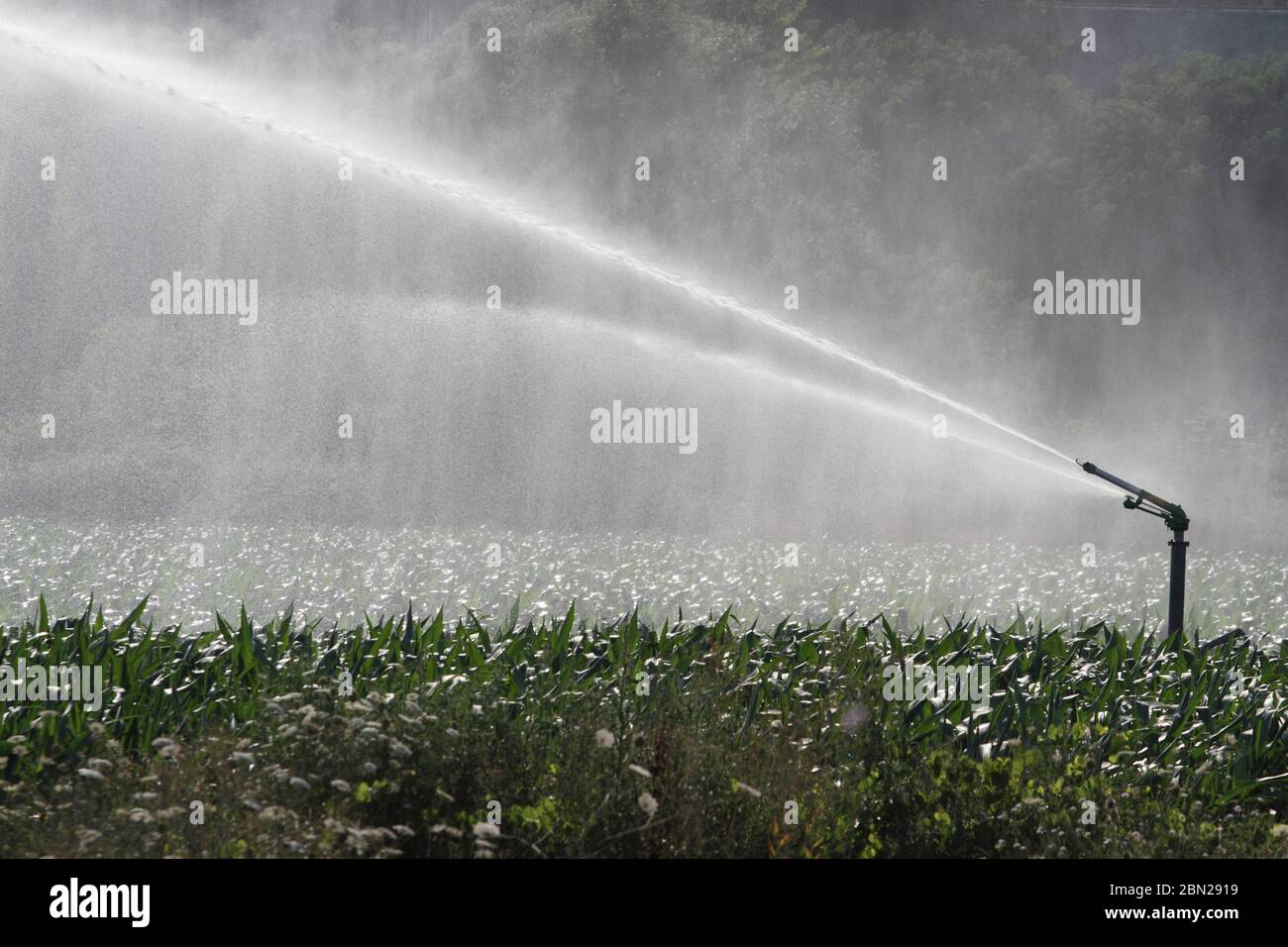 Irrigation field drought agriculture hi-res stock photography and ...