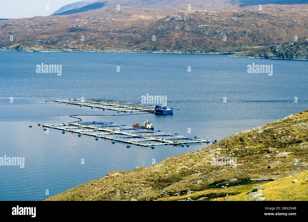 Salmon cages on fish farm Maraig Harris Outer Hebrides Scotland Stock ...