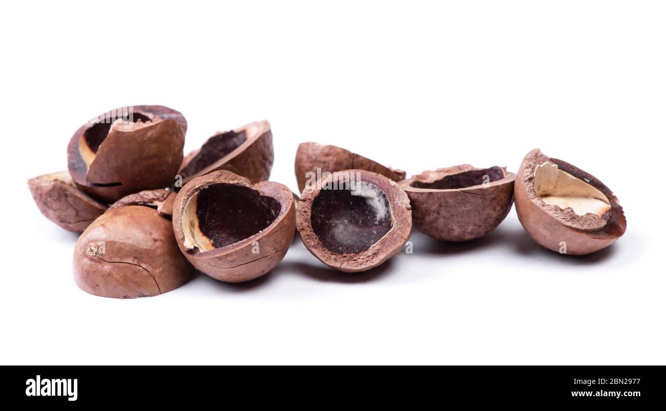 Heap of empty macadamia nut shell isolated on white background Stock ...