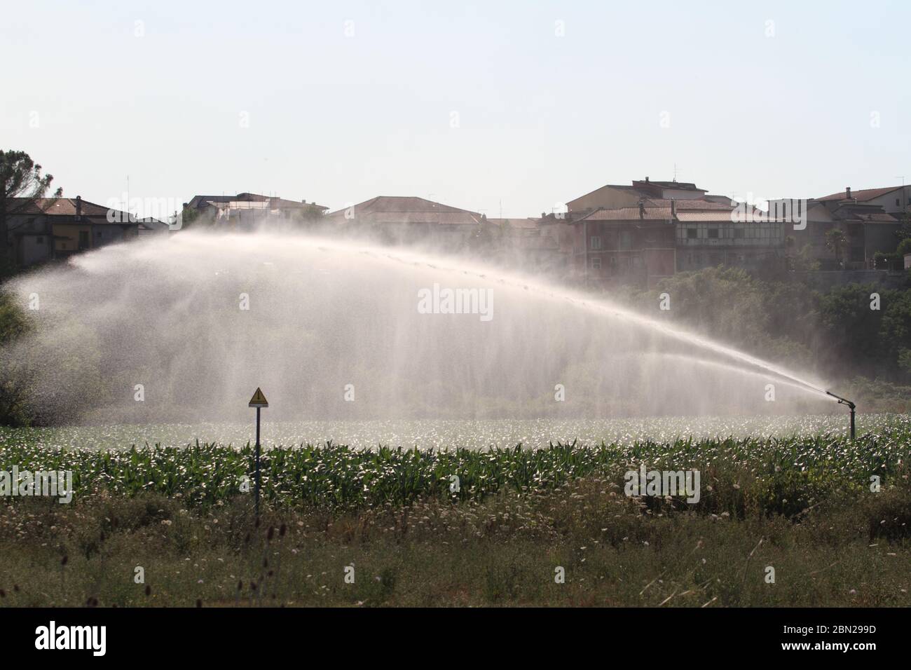 Irrigation of the field - drought - agriculture Stock Photo - Alamy