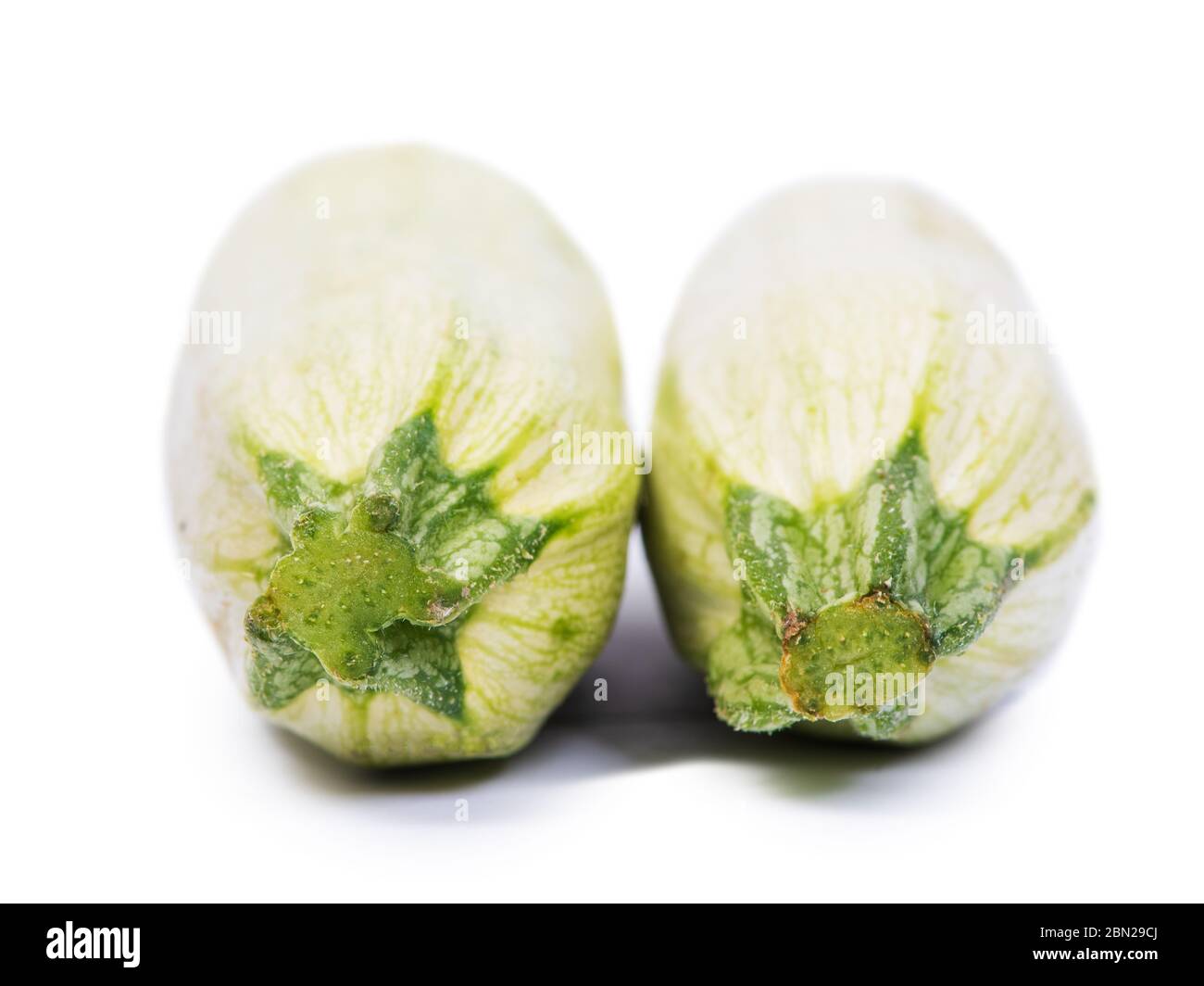 Two fresh vegetable marrows. Zucchini Isolated on white background ...