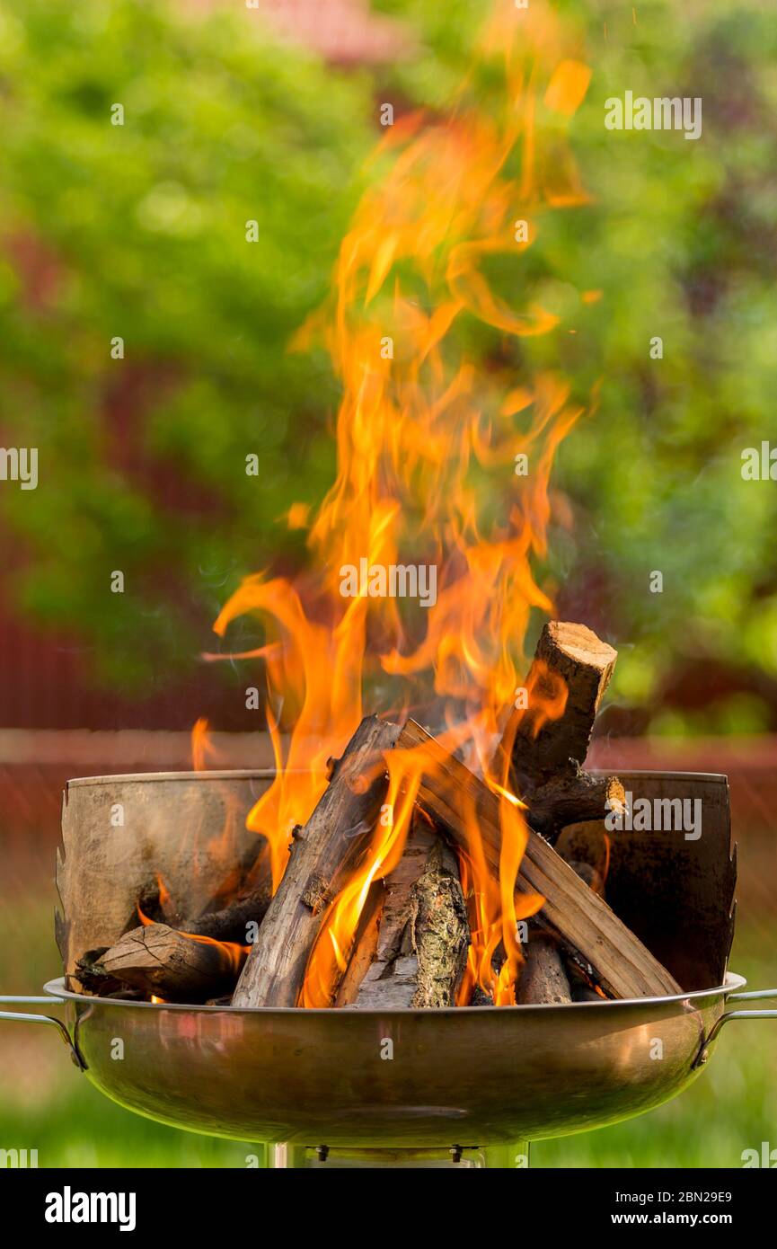 Branches on fire, bonfire, firewood burn, fire, igniter for home grill ...