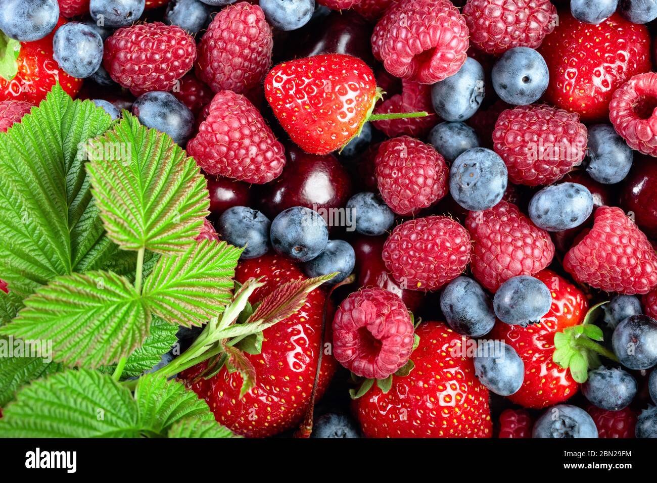 Berries closeup colorful assorted mix of strawberry, blueberry ...