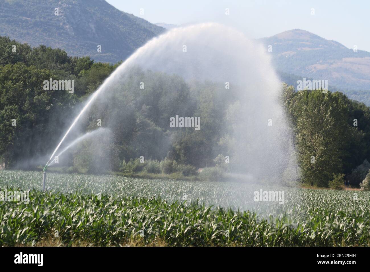 Irrigation of the field - drought - agriculture Stock Photo - Alamy