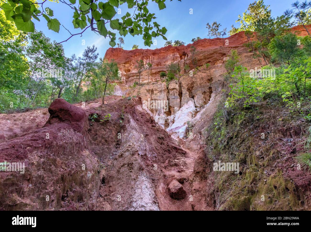 Lumpkin ga hi-res stock photography and images - Alamy