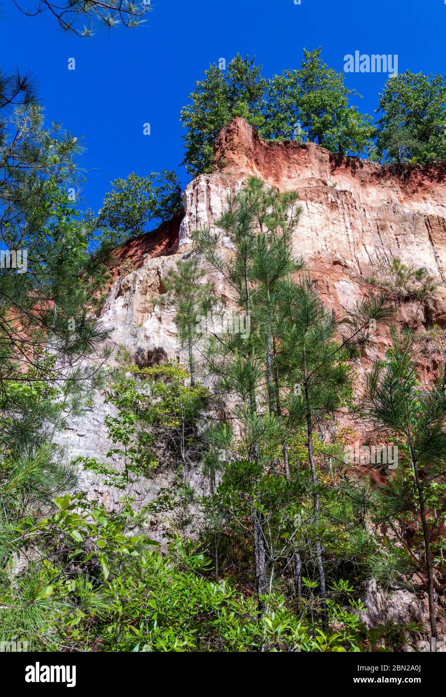 Deep erosion gullies hi-res stock photography and images - Alamy