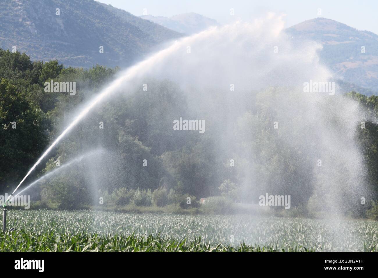 Irrigation of the field - drought - agriculture Stock Photo - Alamy
