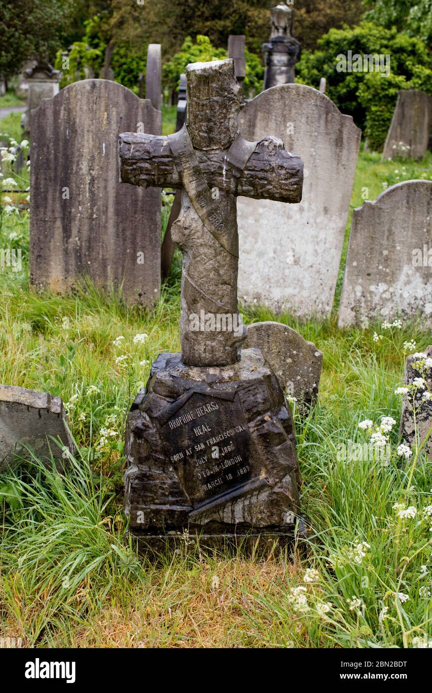 Gravestones in Brompton Cemetery, Kensington, London; one of the ...