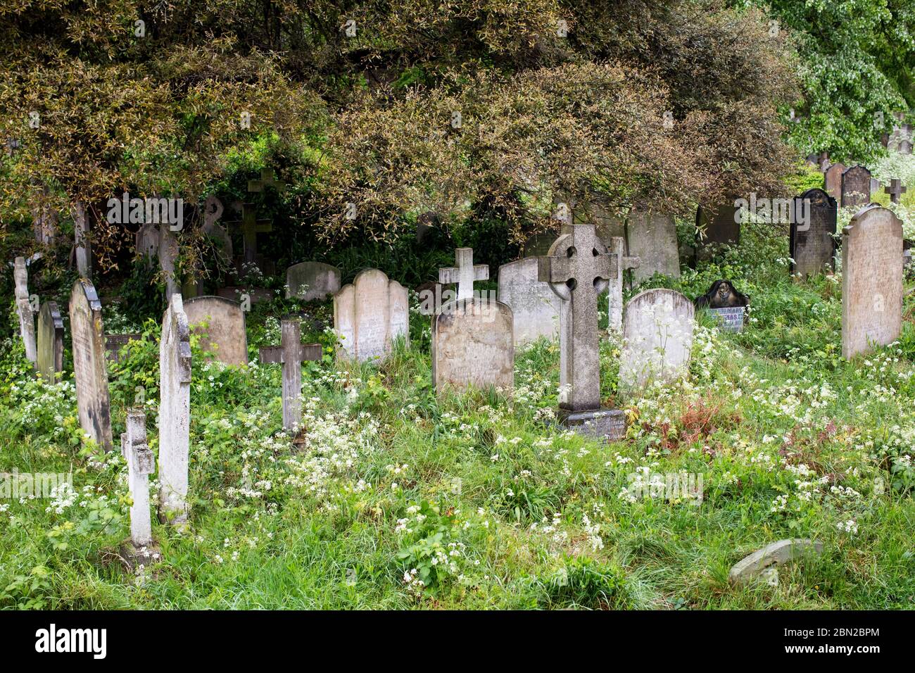 Gravestones in Brompton Cemetery, Kensington, London; one of the ...