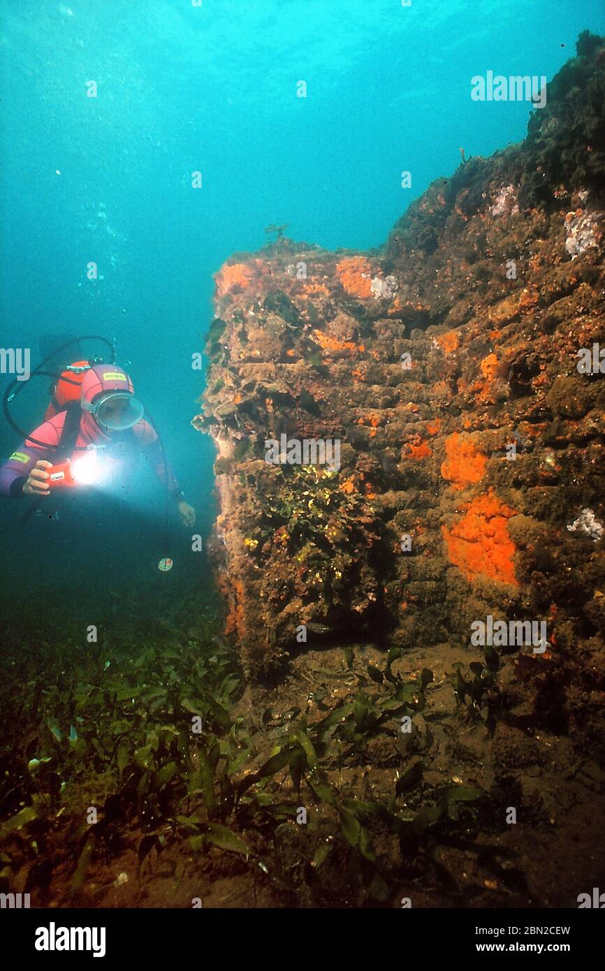 Campi Flegrei,Phlegraean Fields, Pozzuoli, spring 1980, underwater ...