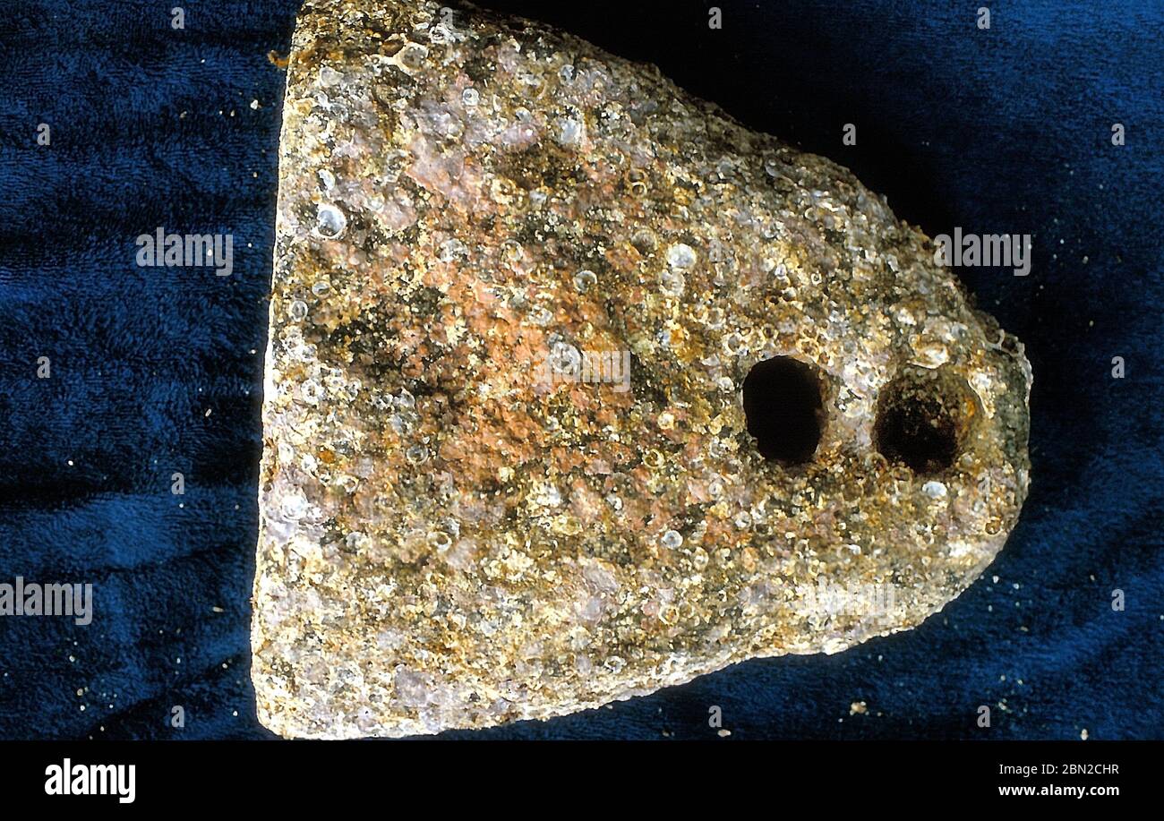 Campi Flegrei,Phlegraean Fields, Pozzuoli, spring 1980, underwater ...