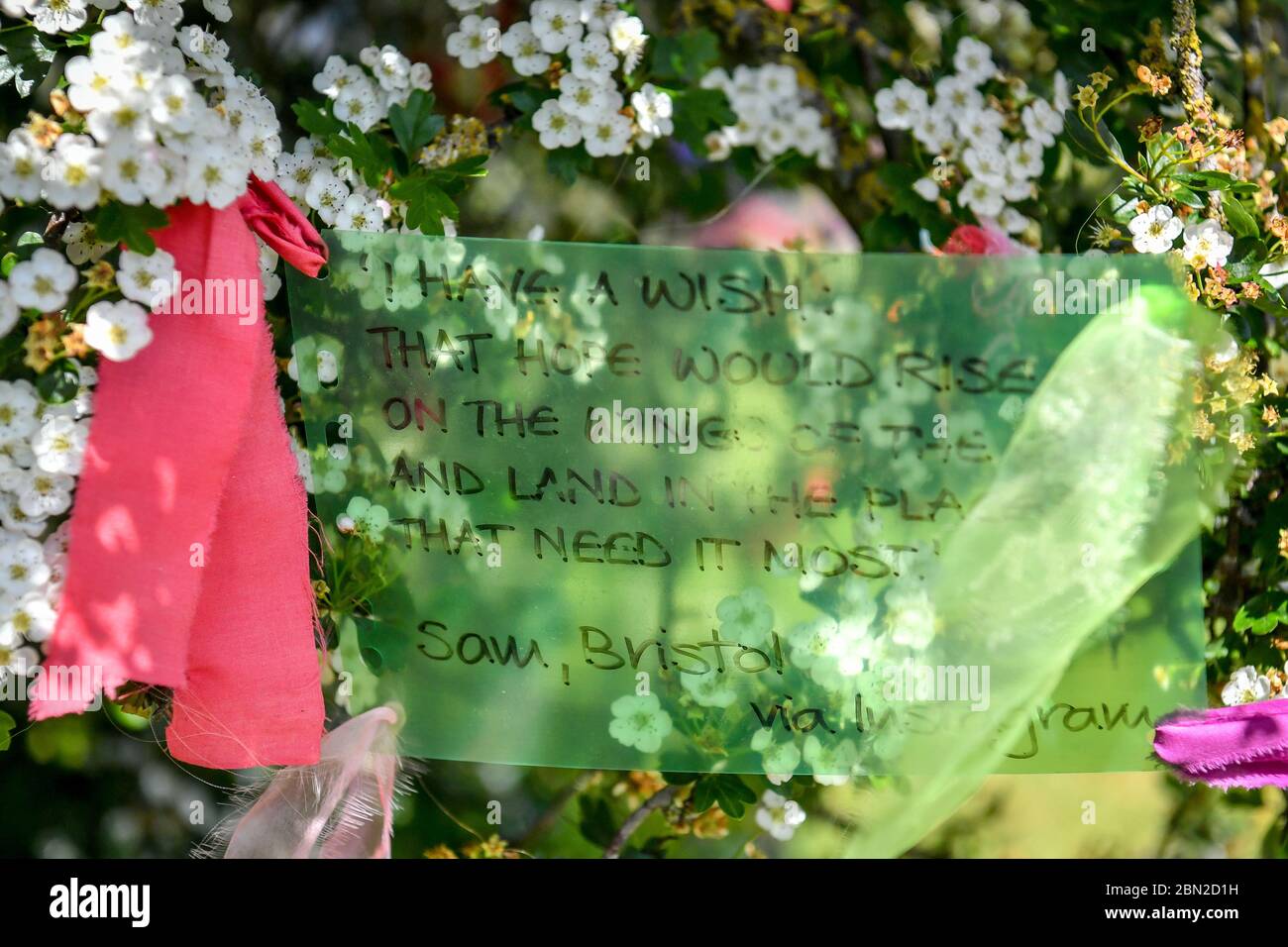 A message tied to a wishing tree, adorned with ribbons, messages and ...