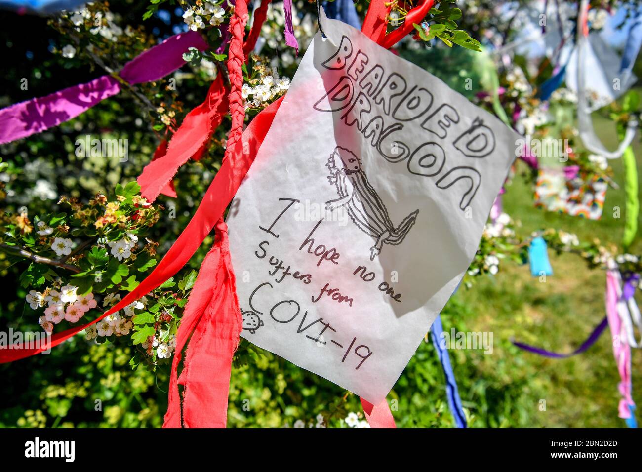 A message tied to a wishing tree, adorned with ribbons, messages and ...