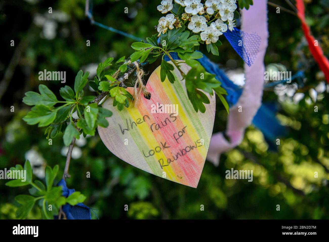 A message tied to a wishing tree, adorned with ribbons, messages and ...