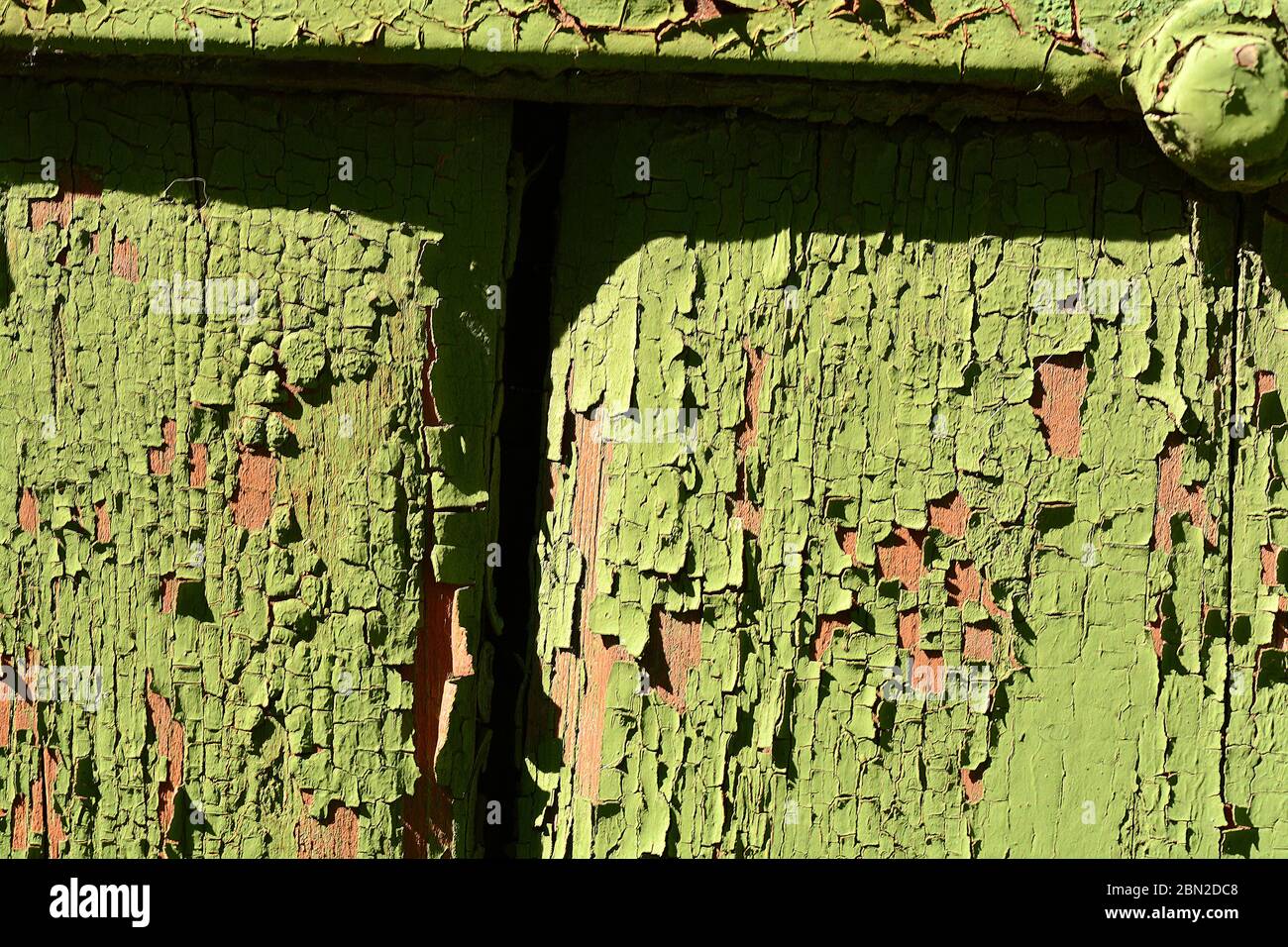 Natural green wood texture with an array of knots and ring lines Stock ...