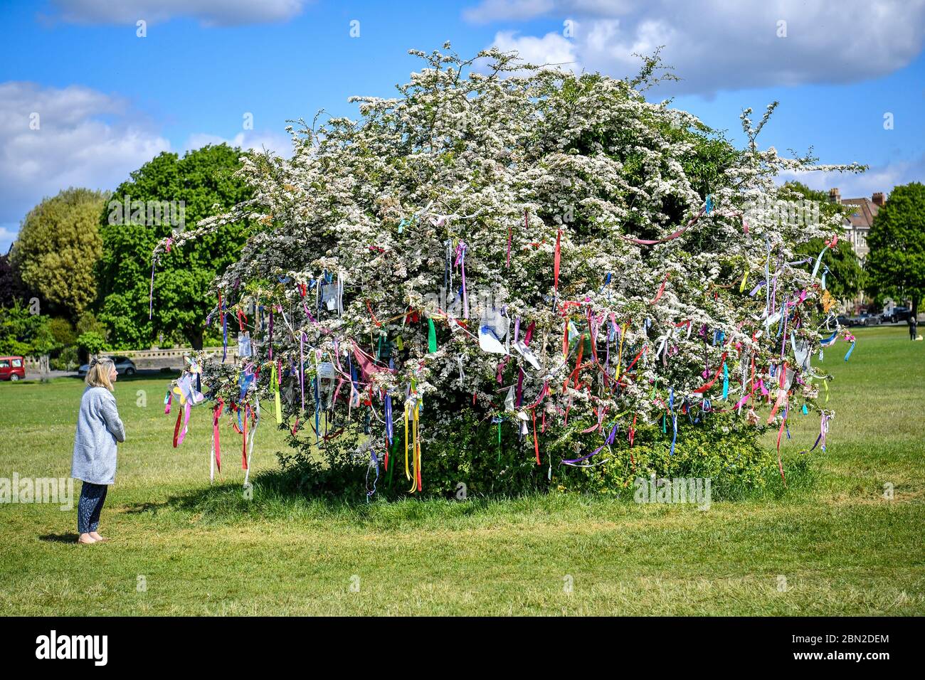 Woman tied to tree hi-res stock photography and images - Alamy