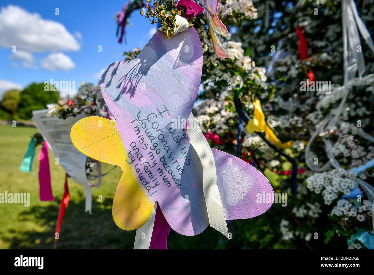 A message tied to a wishing tree, adorned with ribbons, messages and ...