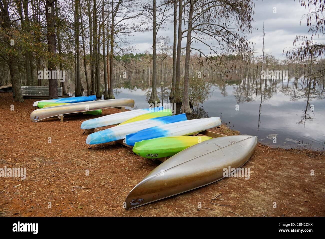 George L Smith State Park in Georgia USA Stock Photo - Alamy