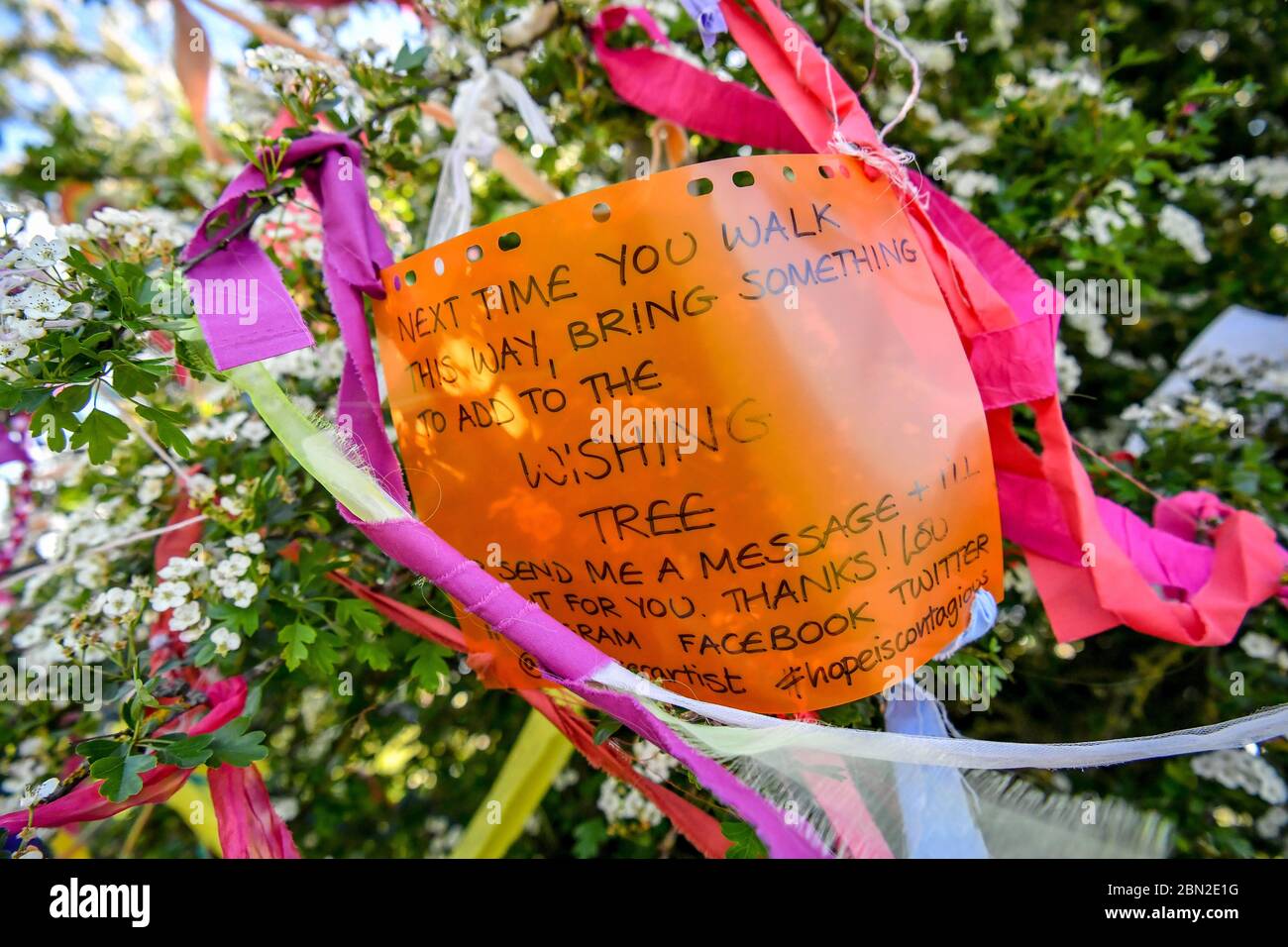 Wishing Tree Message