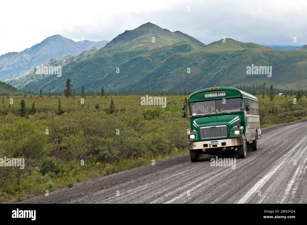 Denali road bus , Alaska , USA Stock Photo - Alamy