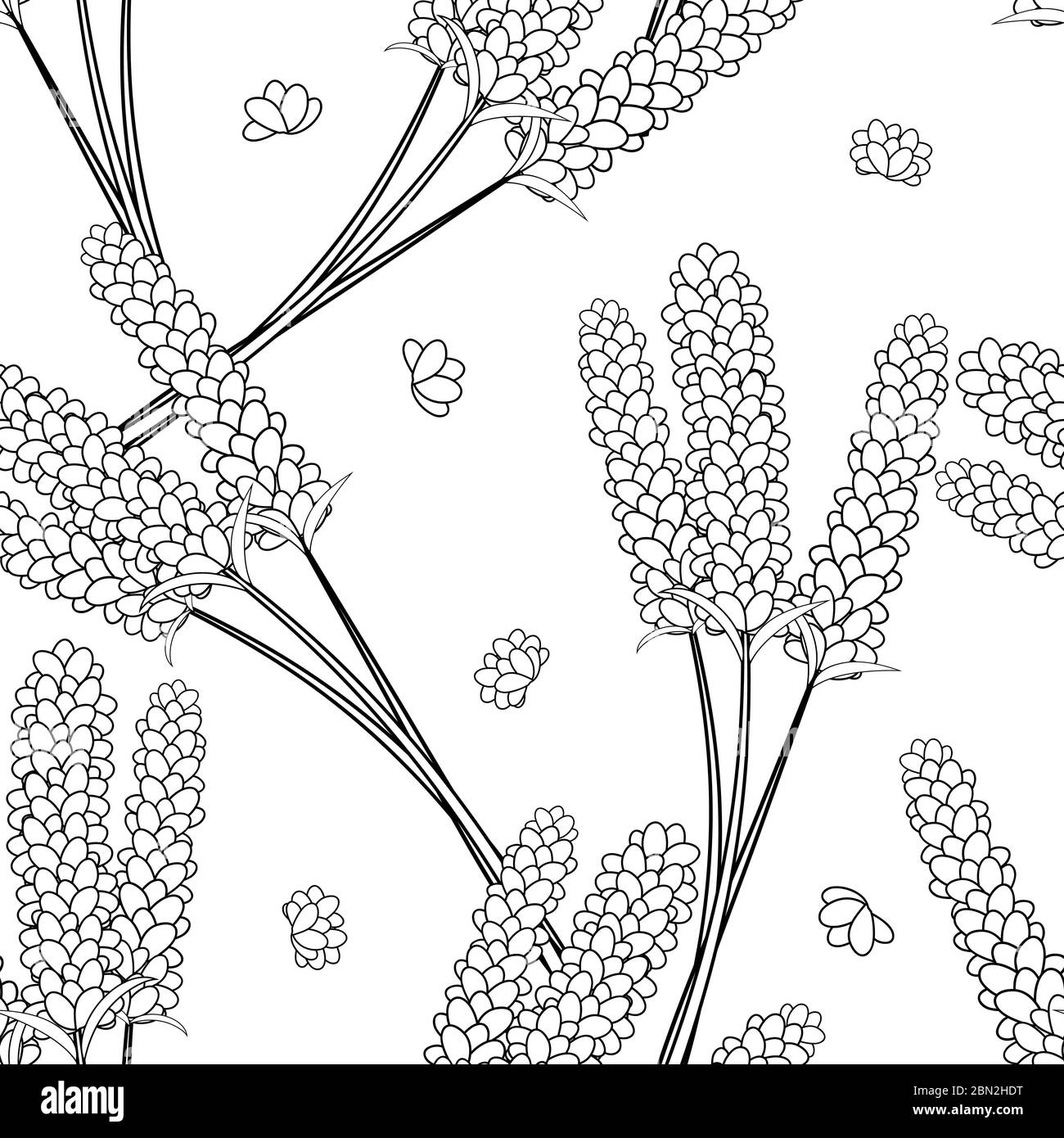 Rosemary garden lavender Black and White Stock Photos & Images - Alamy