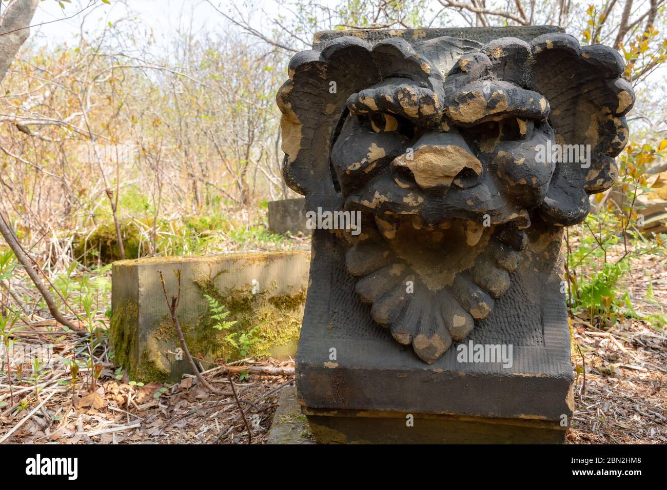 An ancient stone gargoyle face. It is shipped and damaged. Resting amid ...