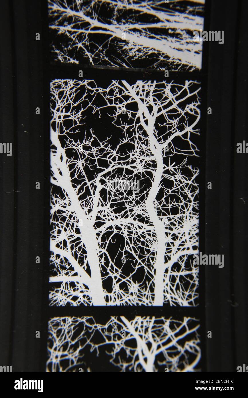 Fine 70s vintage contact print black and white extreme photography of ...