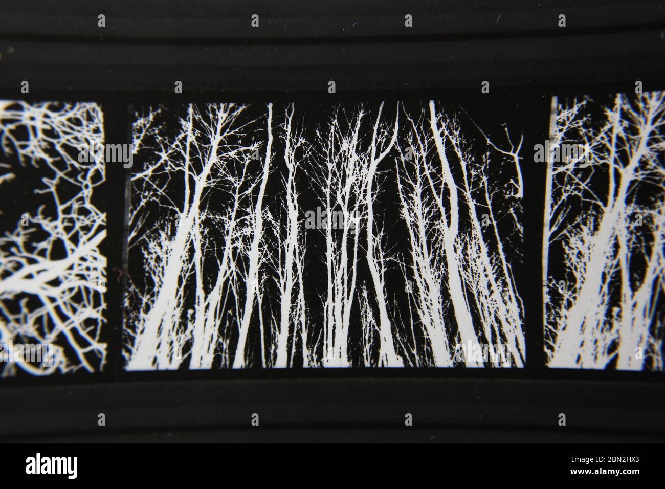 Fine 70s vintage contact print black and white extreme photography of ...