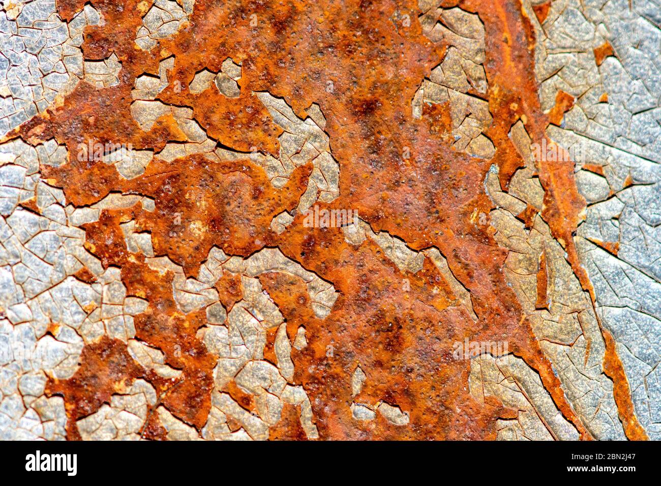 Rust on metal background. Cracked paint around the rust. Closeup view ...