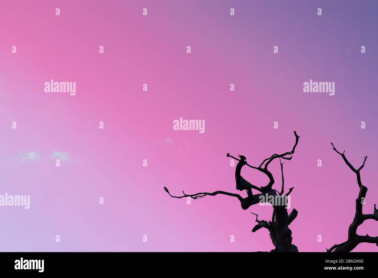 Pale pink and grey sky hi-res stock photography and images - Alamy