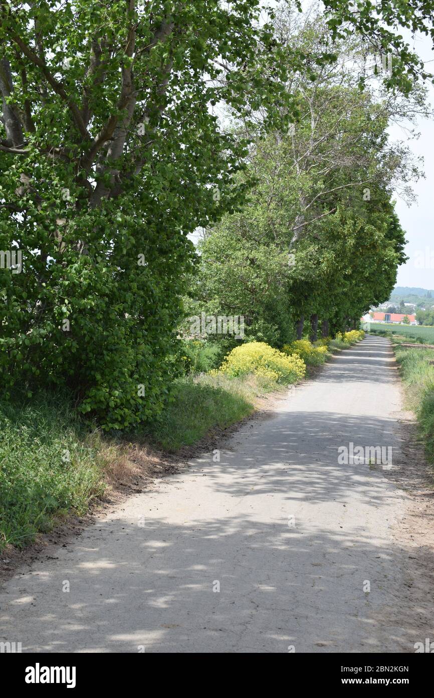 Lonely rural road in hi-res stock photography and images - Alamy